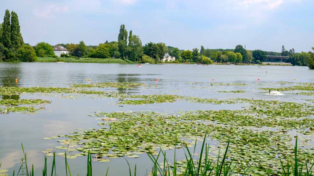 3de Zomerwandeling Geest Van Waas gaat vreemd " Overmere Donk ...